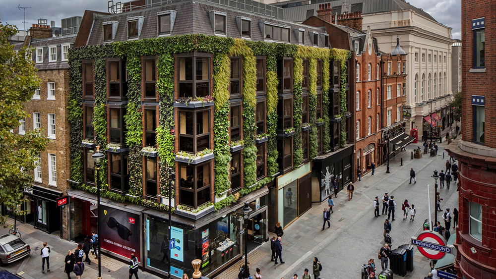 PlantsAtWork.org.uk - International Green Wall Day