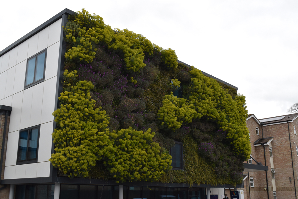 PlantsAtWork.org.uk - Celebrating Green Walls