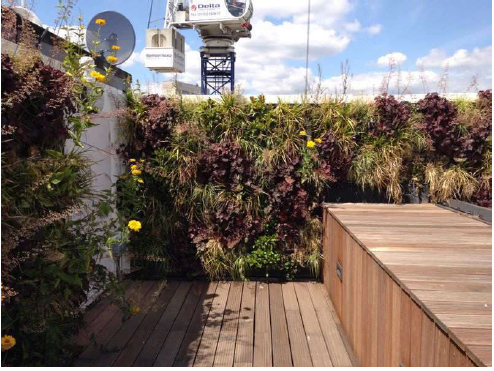 PlantsAtWork.org.uk - International Green Wall Day